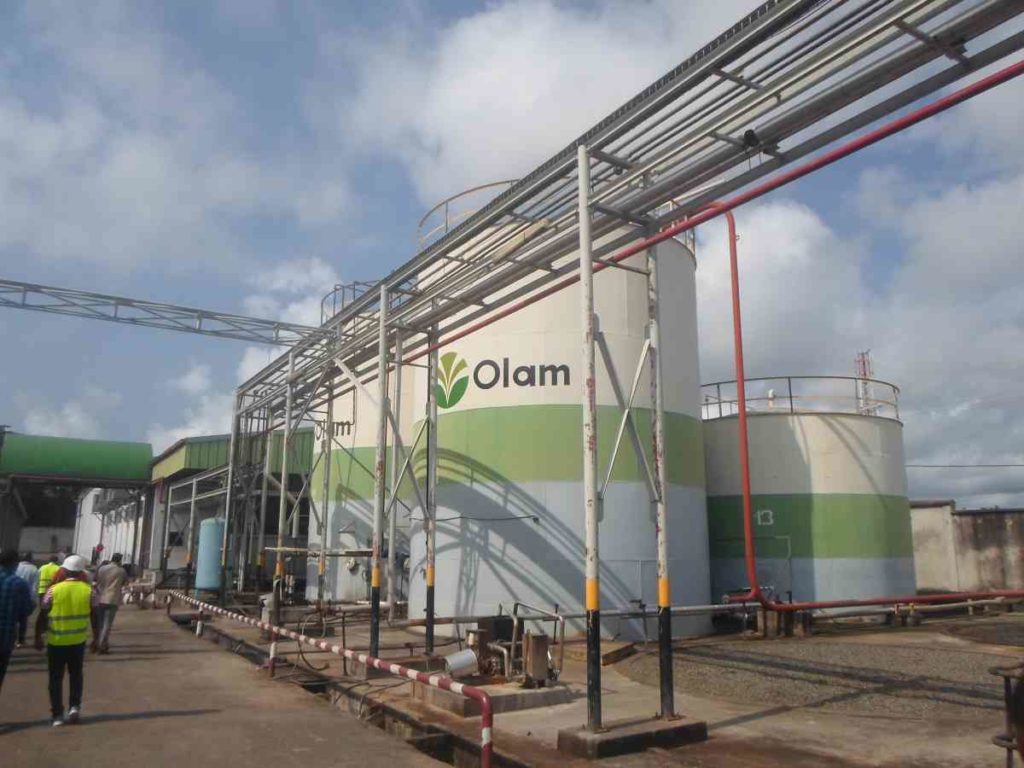 Le groupe Olam Gabon se lance dans la production de biocarburants ...